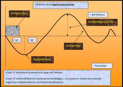 Teoría Entrenamiento y Preparación Física. Tema 6: Adaptación al ...