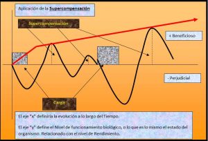 Teoría Entrenamiento y Preparación Física. Tema 6: Adaptación al ...