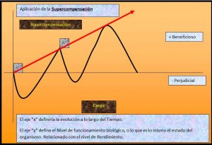 Teoría Entrenamiento y Preparación Física. Tema 6: Adaptación al ...